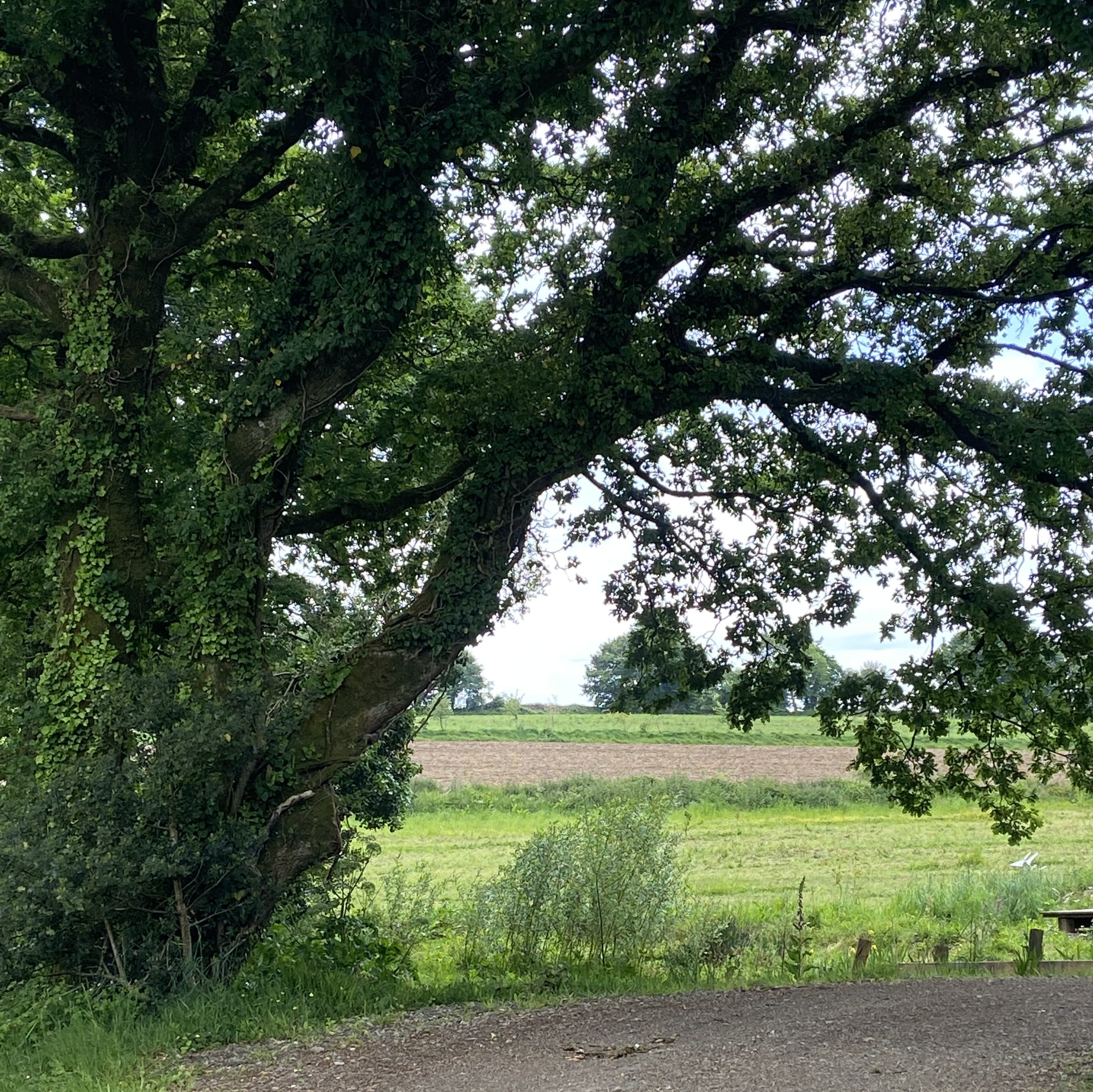 La Ferme – Le Fournil Ar Boem